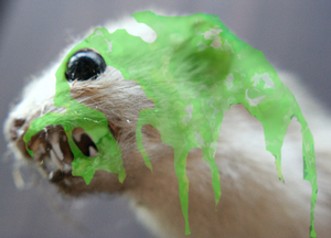 What Can Happen When Lawyers Over Delegate e-Discovery Preservation and ...